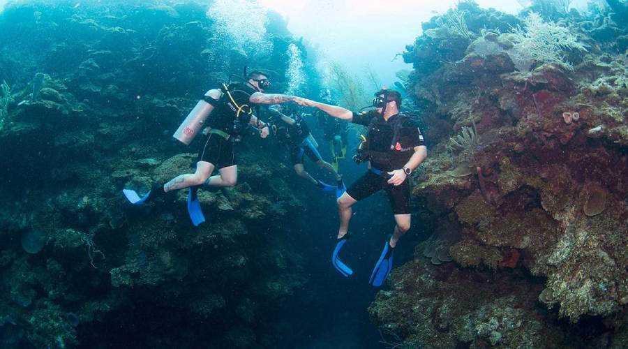 Diving as Therapy! | Dive Andaman