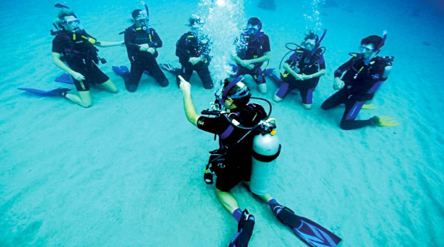 Key Differences - Snorkelling vs. Scuba Diving - Dive Andaman