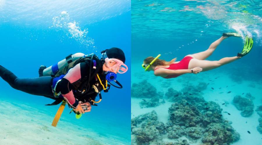 Key Differences - Snorkelling vs. Scuba Diving - Dive Andaman