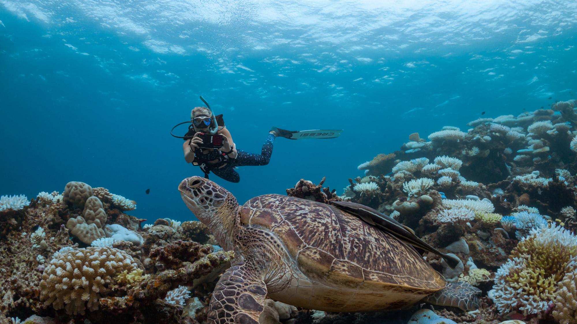 Budget-Friendly Scuba Diving Tips in Andaman Islands