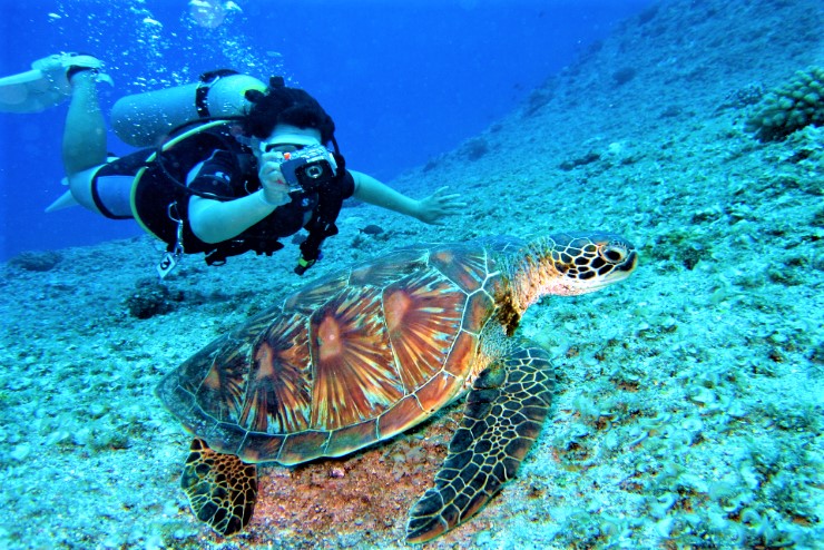 Scuba Diving in Neil Island – Spots, Prices & Experience